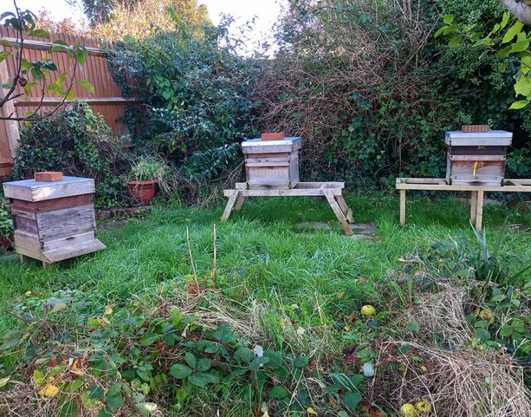 2021- Some Images of Meetings and Events - Brighton and Lewes Beekeepers
