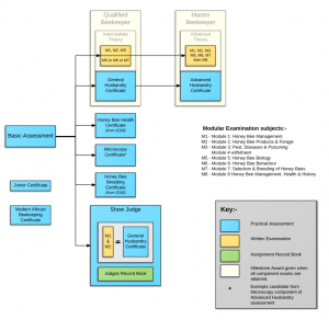 BBKA Exam Flow Chart - Brighton and Lewes Beekeepers